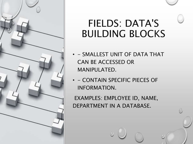 Fields record and files ,types of files from usage point of you | PPTX | Databases | Computer ...