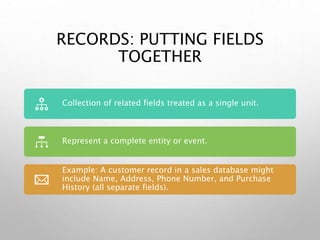 Fields record and files ,types of files from usage point of you | PPTX