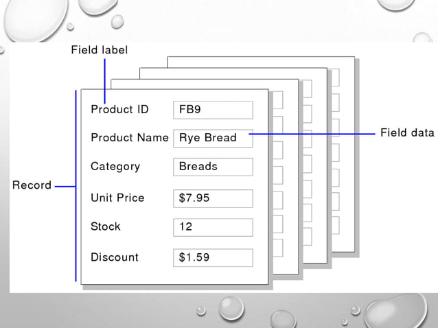 Fields record and files ,types of files from usage point of you | PPT Fields record and files ,types of files from usage point of you | PPT
