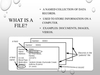Fields record and files ,types of files from usage point of you | PPTX