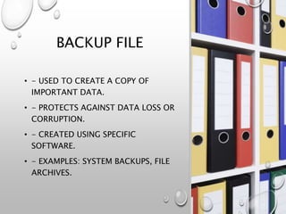 Fields record and files ,types of files from usage point of you | PPTX