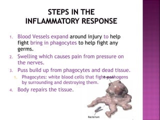 2 fighting communicable diseases | PPT