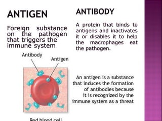 2 fighting communicable diseases | PPT