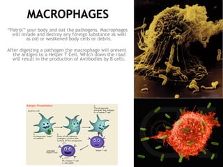 2 fighting communicable diseases | PPT