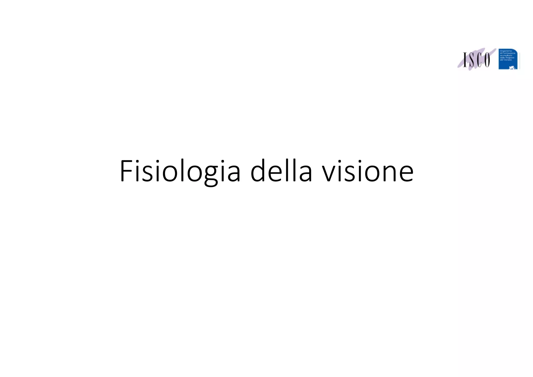 2 fisiologia della visione | PDF