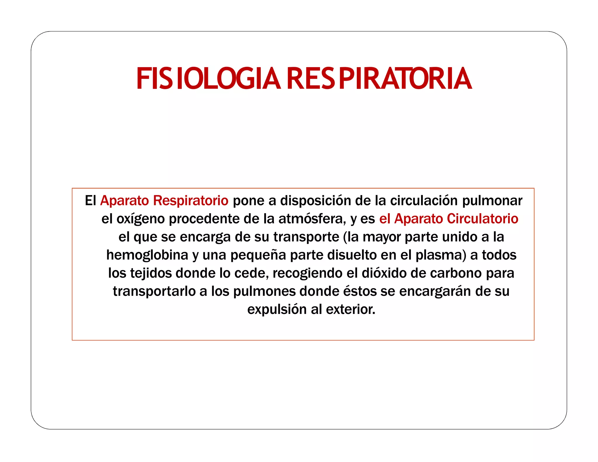 2_Fisiopatologia_Aparato_Respiratorio.pptx