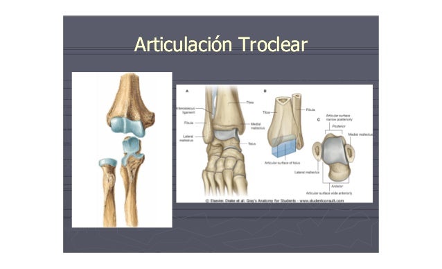 2º fisioterapia final 3
