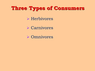 2 food chains in ecosystem | PPTX