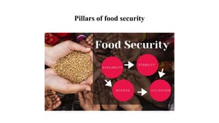 What is Food Insecurity and its effects.pptx
