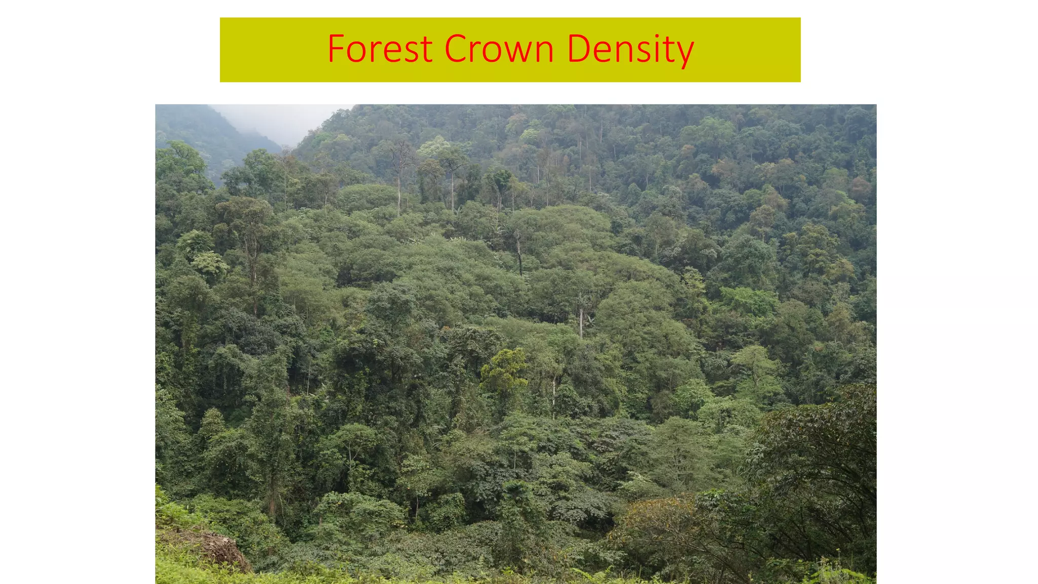 2 Forest Types working plans_limitation of satellite imageries | PPT