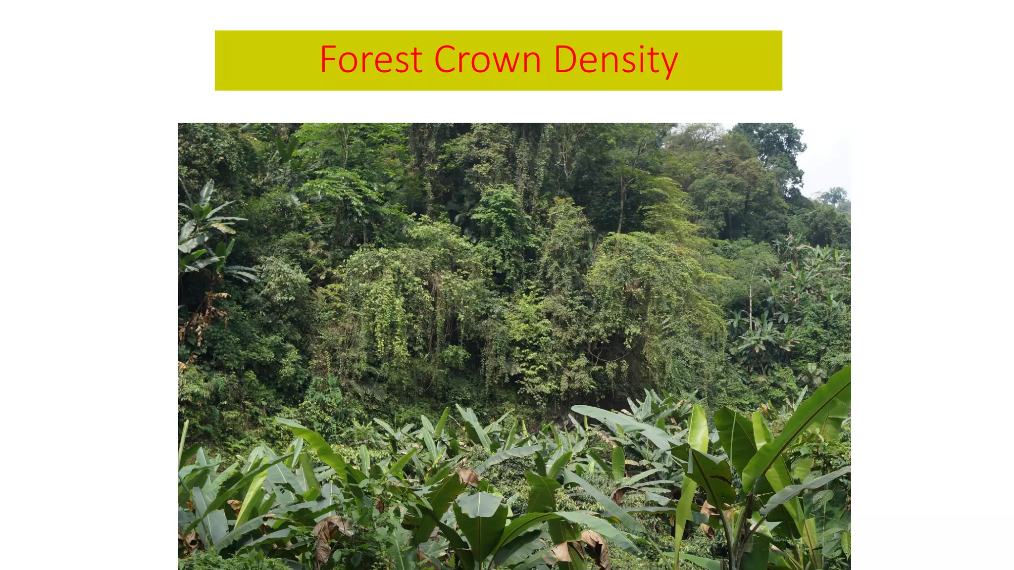 2 FOREST (CONSERVATION) ACT, 1980 - FOREST TYPES, CROWN DENSITY, BIODIVERSITY INDEXING AND ...