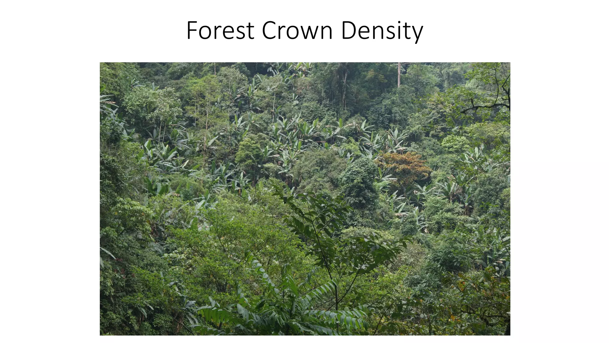 2 FOREST (CONSERVATION) ACT, 1980 - FOREST TYPES, CROWN DENSITY ...