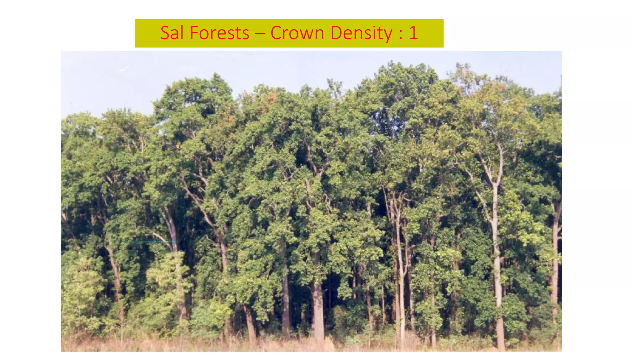 2 FOREST (CONSERVATION) ACT, 1980 - FOREST TYPES, CROWN DENSITY ...