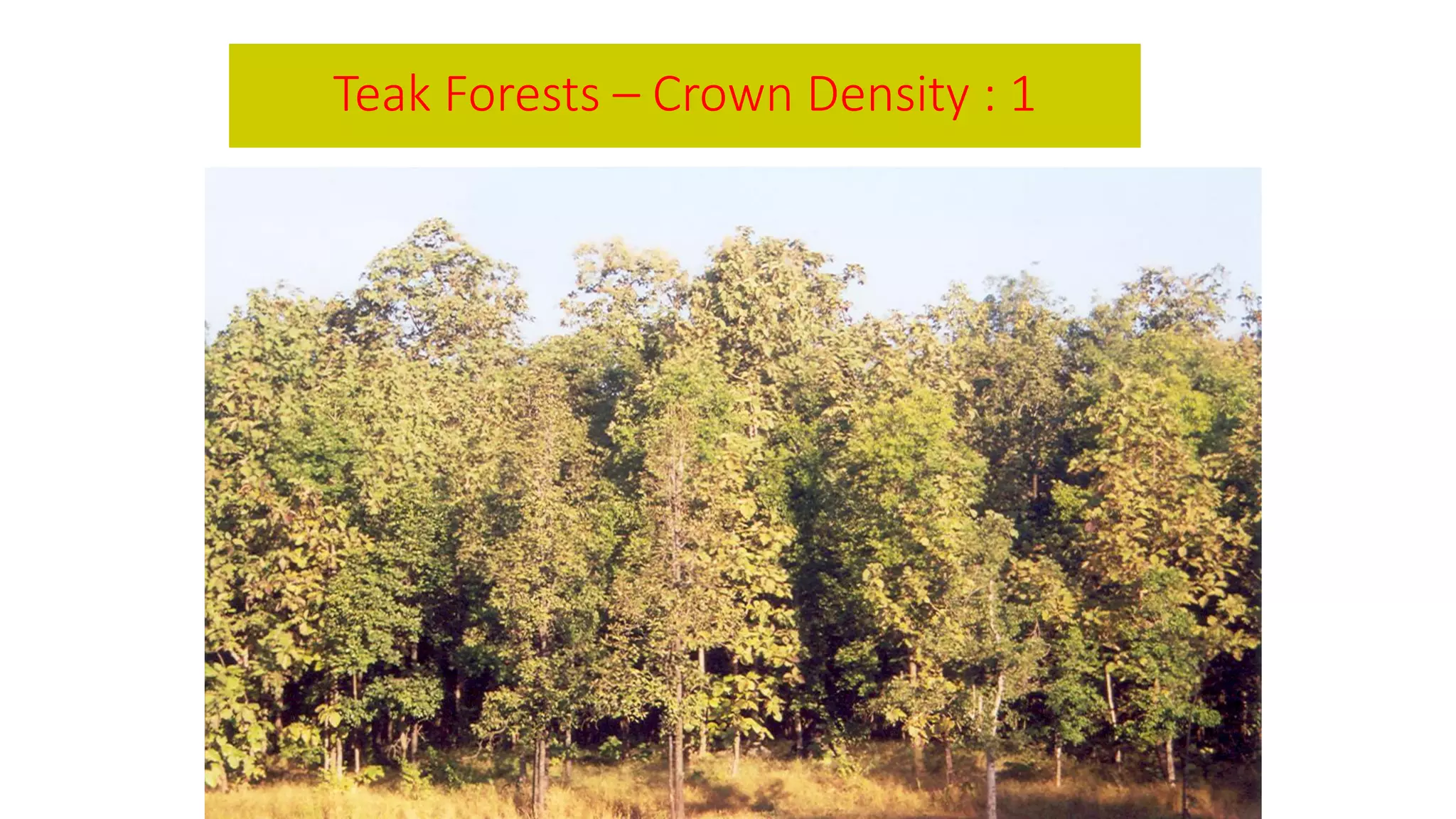 2 FOREST (CONSERVATION) ACT, 1980 - FOREST TYPES, CROWN DENSITY, BIODIVERSITY INDEXING AND ...