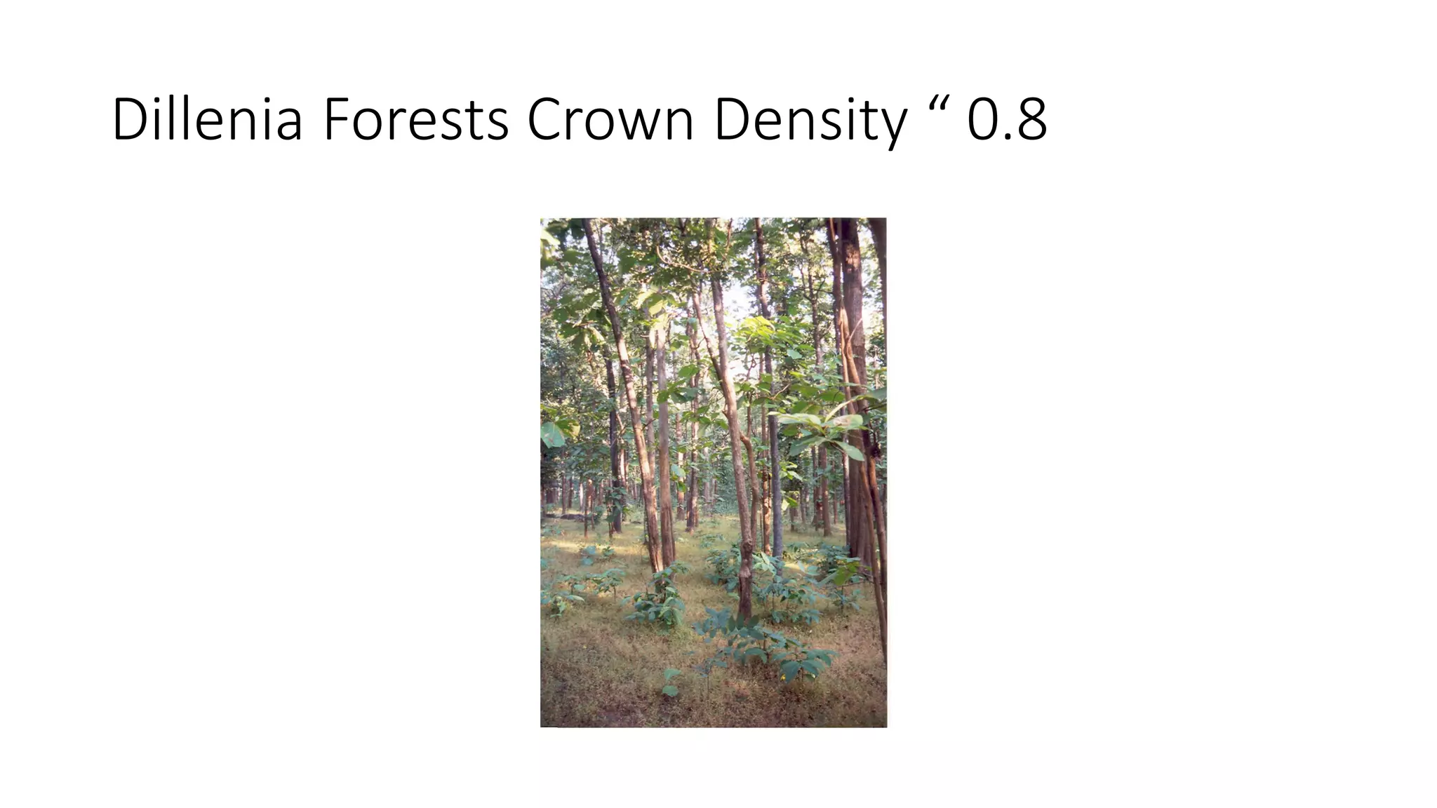 2 FOREST (CONSERVATION) ACT, 1980 - FOREST TYPES, CROWN DENSITY ...