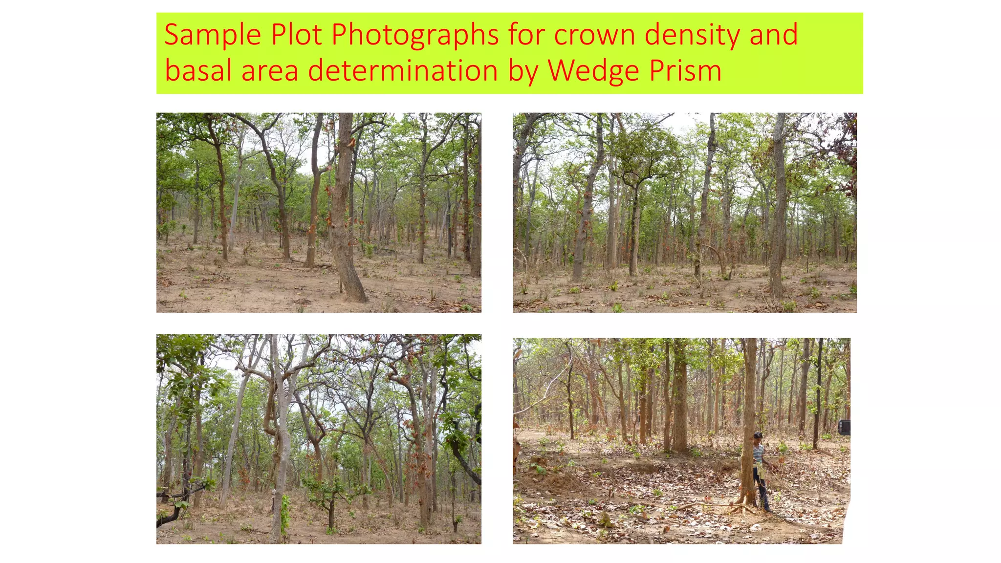 2 FOREST (CONSERVATION) ACT, 1980 - FOREST TYPES, CROWN DENSITY ...
