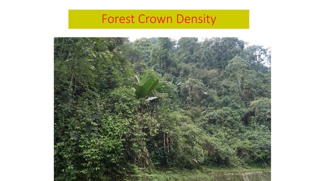 2 FOREST (CONSERVATION) ACT, 1980 - FOREST TYPES, CROWN DENSITY ...
