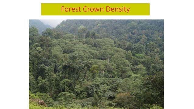 2 FOREST (CONSERVATION) ACT, 1980 - FOREST TYPES, CROWN DENSITY ...