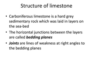 Limestone Formation Process
