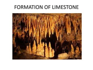 2 formation of limestone | PPTX