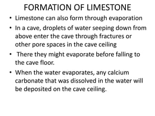 Limestone Formation Process