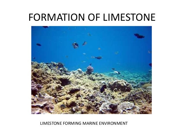 Limestone Formation Process