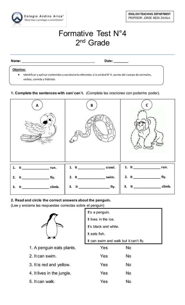 2 formative test n°4 | DOCX | Birds | Pets