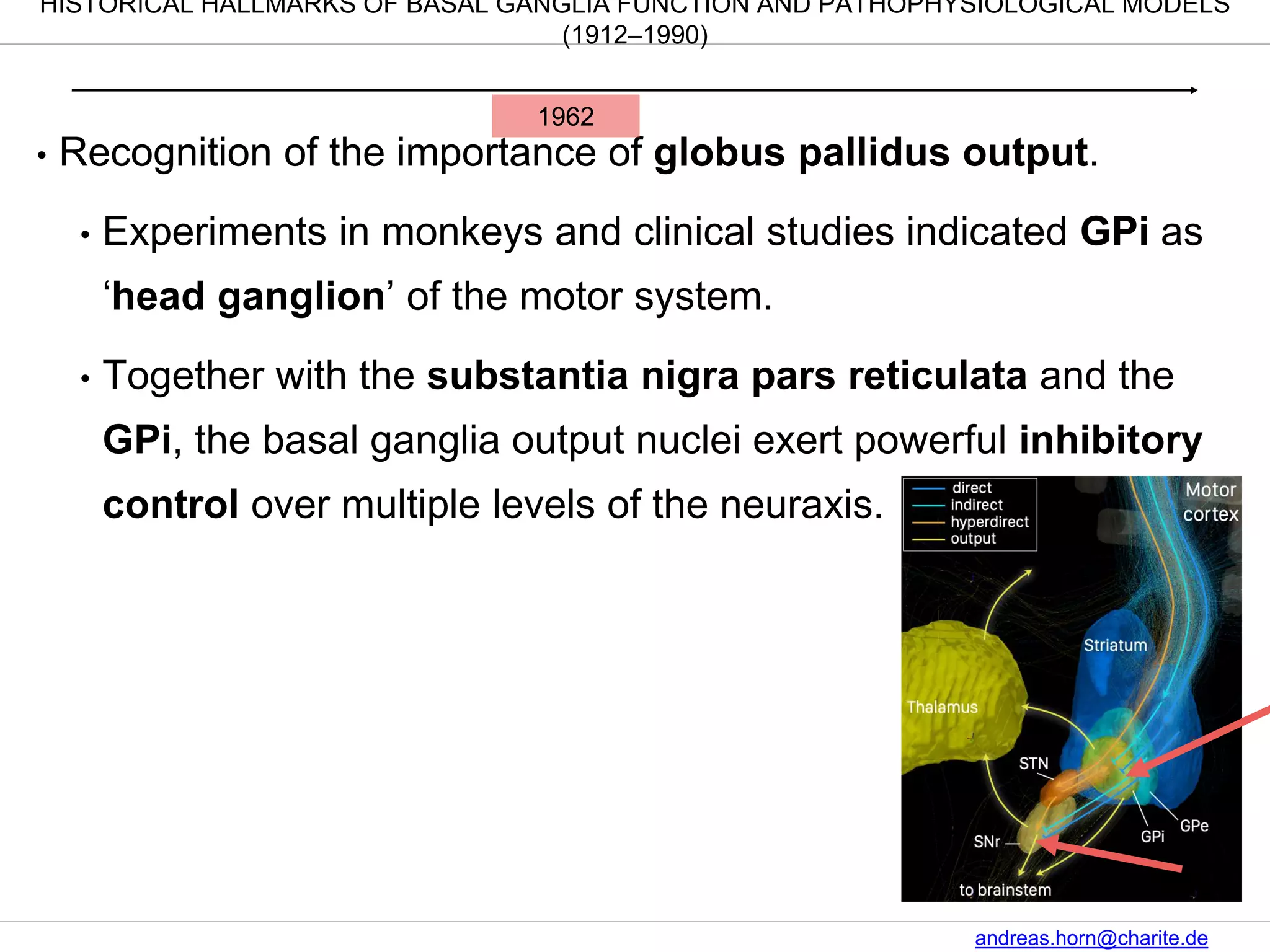 Function & Anatomy of the Basal Ganglia | PPTX