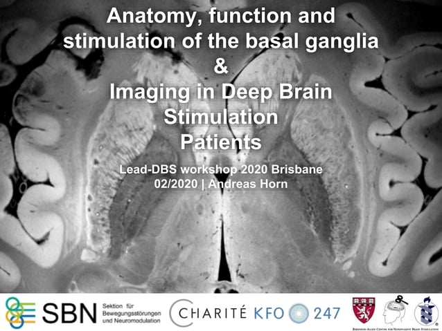 Function & Anatomy of the Basal Ganglia | PPTX | Brain and Nervous System Disorders | Diseases ...