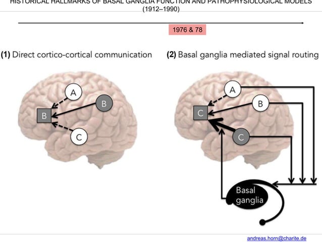 Function & Anatomy of the Basal Ganglia | PPTX | Brain and Nervous ...