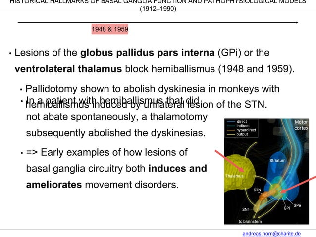 Function & Anatomy of the Basal Ganglia | PPTX | Brain and Nervous ...