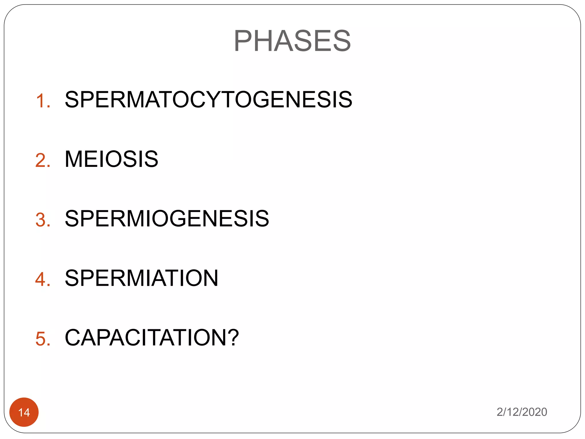 2 gametogenesis, fertilization, | PPTX