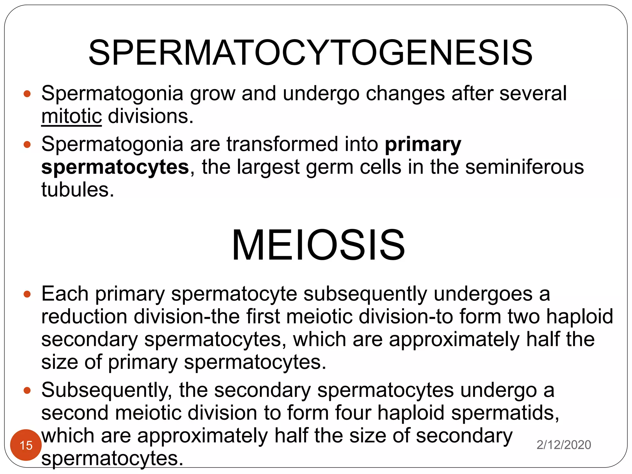 2 gametogenesis, fertilization, | PPTX