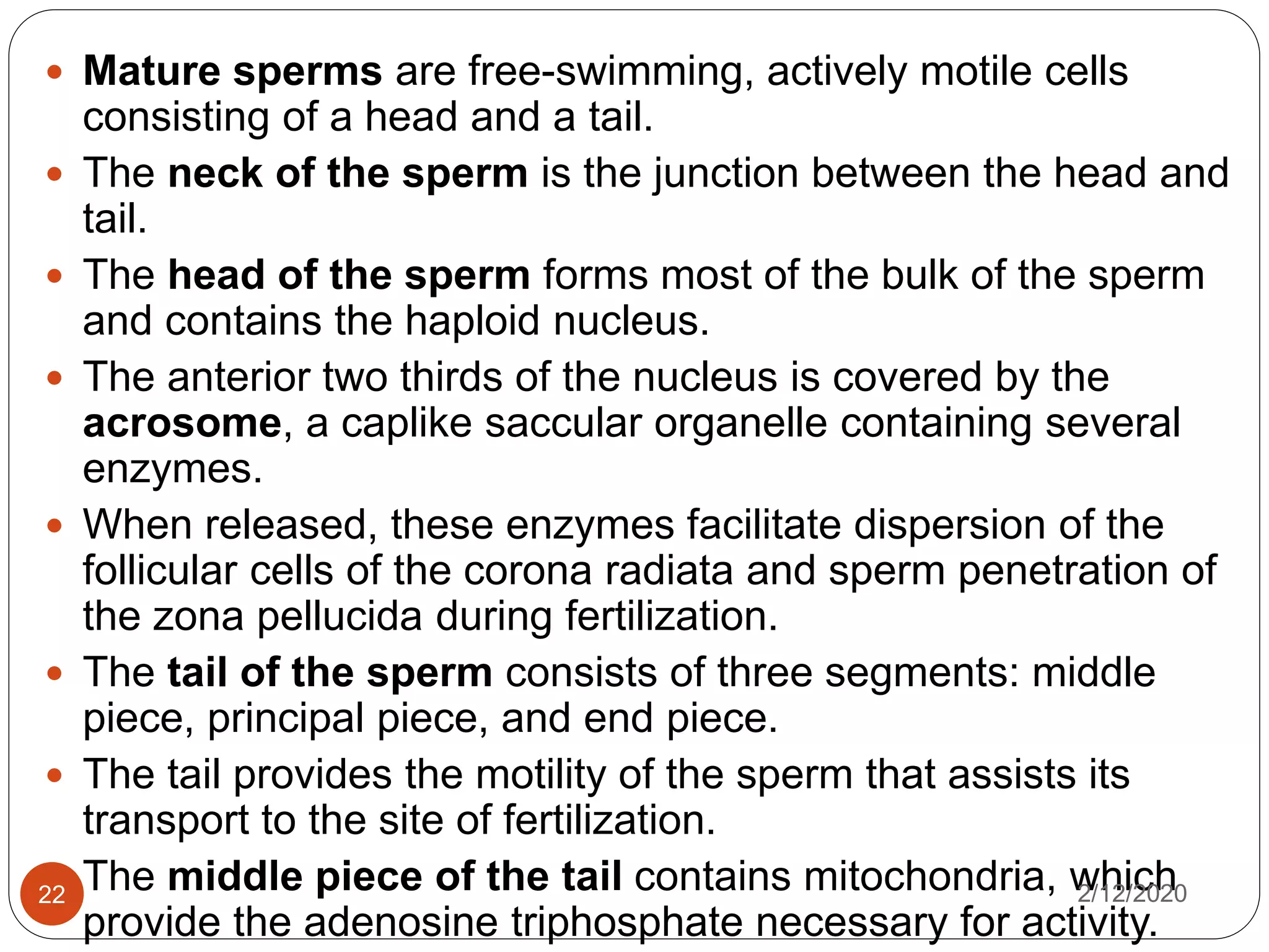 2 gametogenesis, fertilization, | PPTX