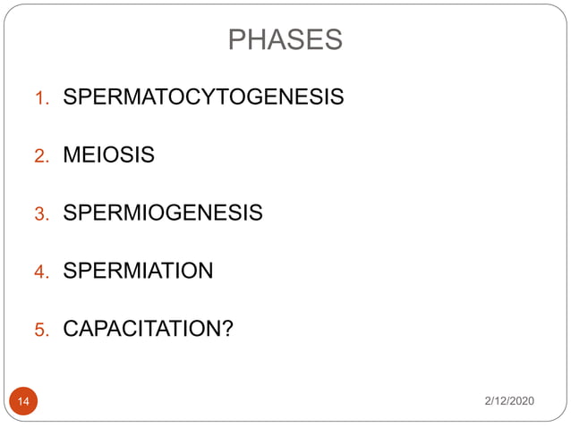2 gametogenesis, fertilization, | PPT