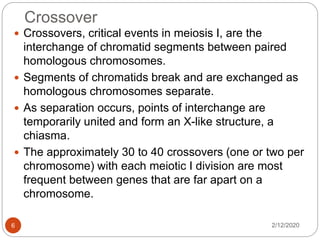 2 gametogenesis, fertilization, | PPTX