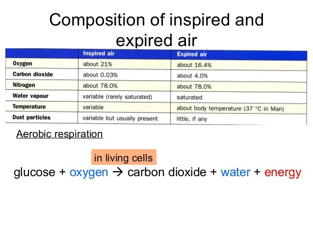 Chapter 10 Lesson 2 - Gaseous Exchange in the Lungs and Lung capacity