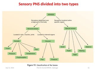 2 GENERAL INTRODUCTION TO NERVOUS SYSTEM’.pptx