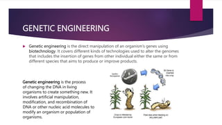 2 GENETIC ENGINERING.pptx