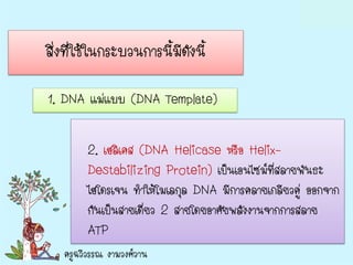2 genetic material | PPT