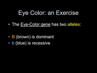 2 Genetics | PPTX