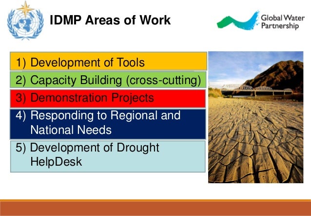 IDMP CEE 2nd workshop: The global IDMPActivity by Frederik Pischke