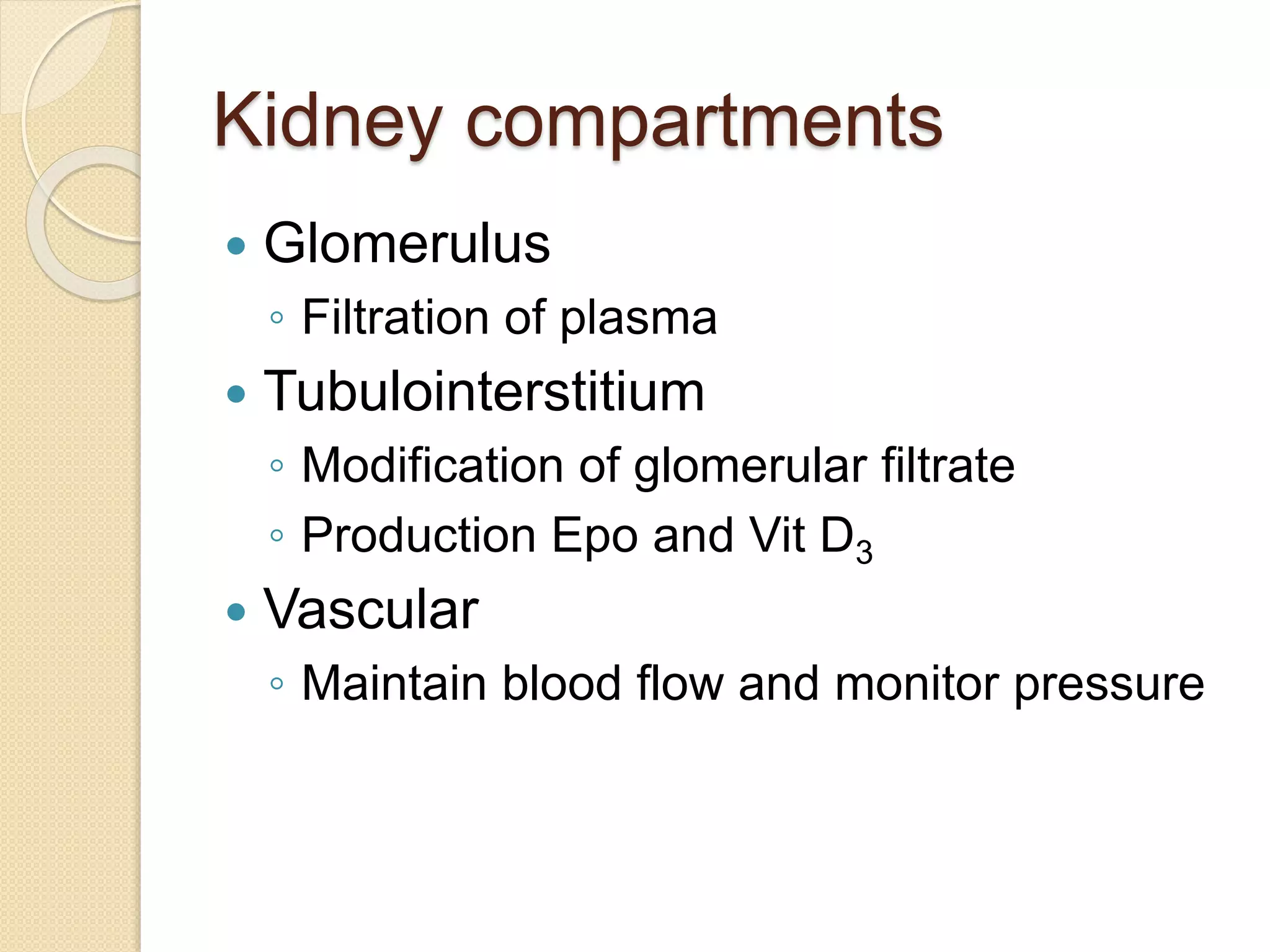 2 GLOMERULAR DISEASES.pptx