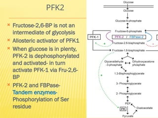 2 Glycolysis- glucose transport and glycolysis | PPTX