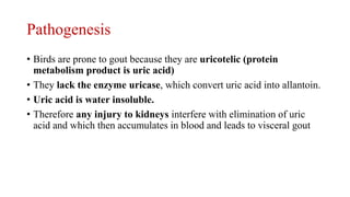 Poultry Gout | PDF | Chemistry | Science
