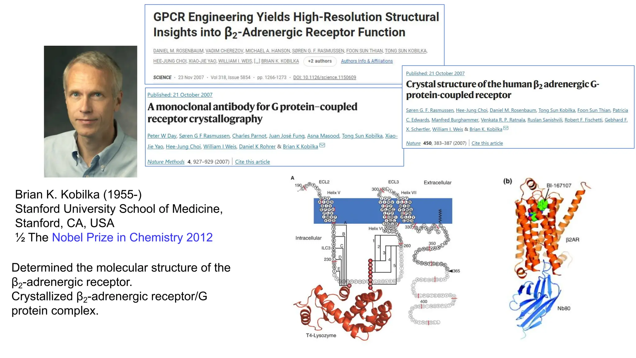 2 GPCR overview.pdfunderstanding of the the role of G coupled receptors ...