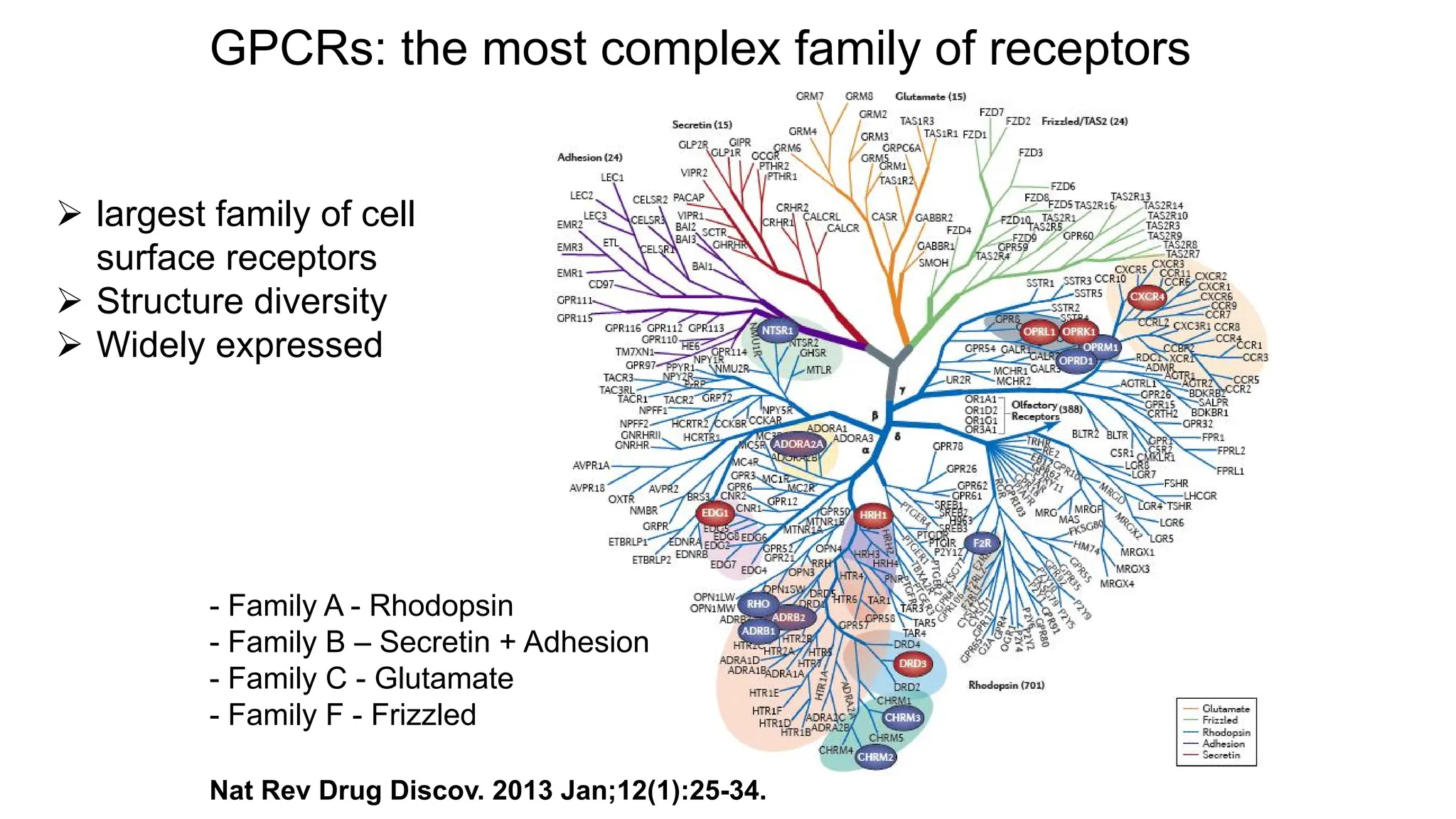 2 GPCR overview.pdfunderstanding of the the role of G coupled receptors ...