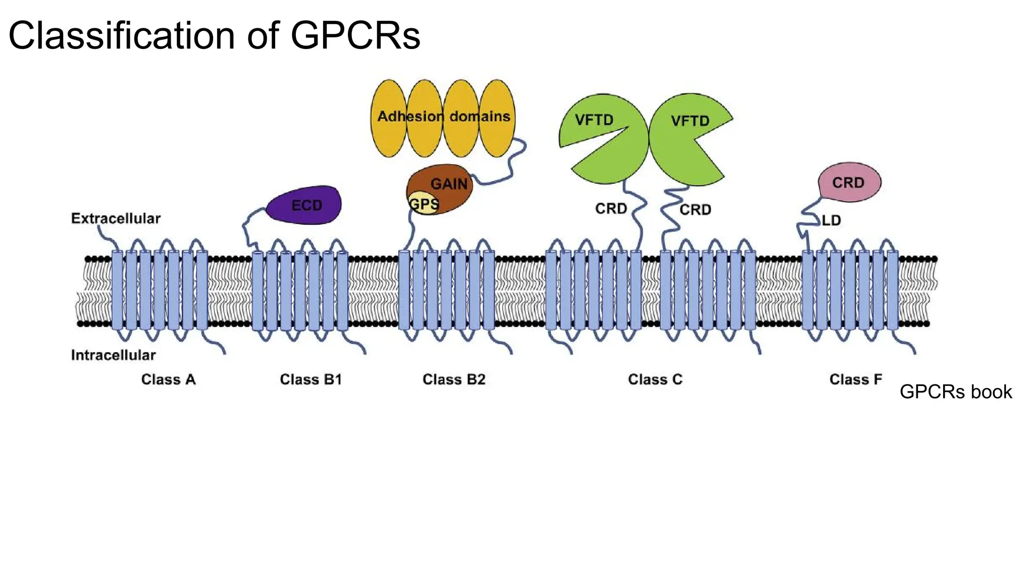 2 GPCR overview.pdfunderstanding of the the role of G coupled receptors | PDF