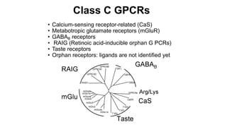 2 GPCR overview.pdfunderstanding of the the role of G coupled receptors ...