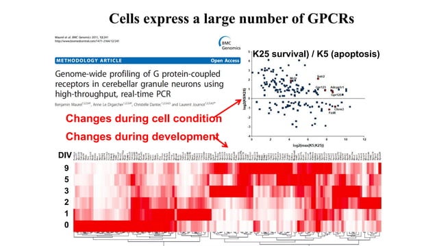 2 GPCR overview.pdfunderstanding of the the role of G coupled receptors ...